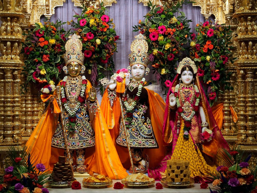 BAPS Shri Swaminarayan Sanstha | North America