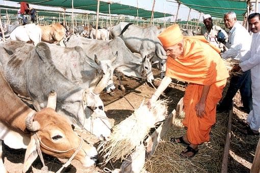 BAPS Shri Swaminarayan Sanstha | North America